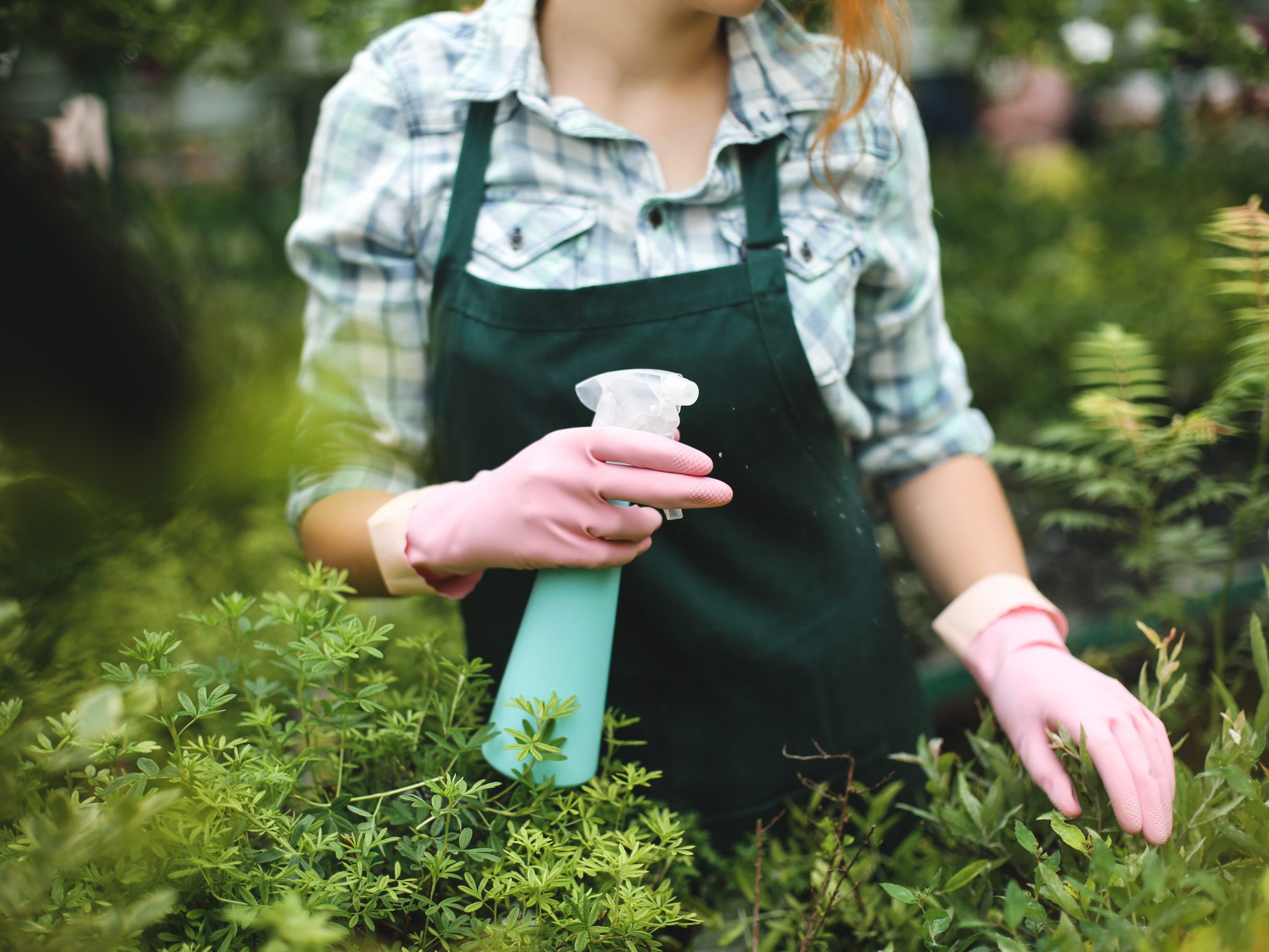 Durable Horticultural Labels Made for Outdoor Conditions